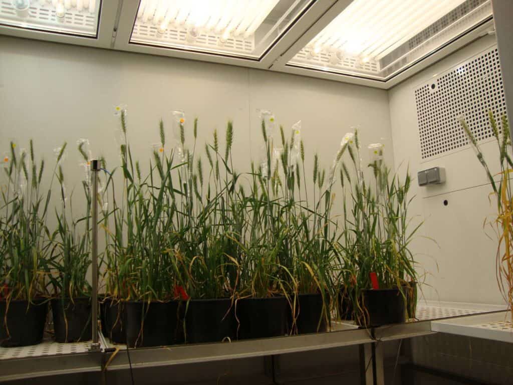 Climate chamber high performance biotechnology | Clitec