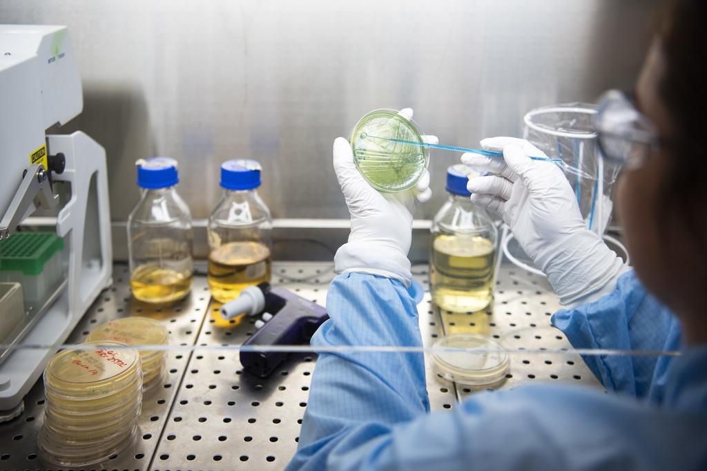 All about Clitec stability chambers