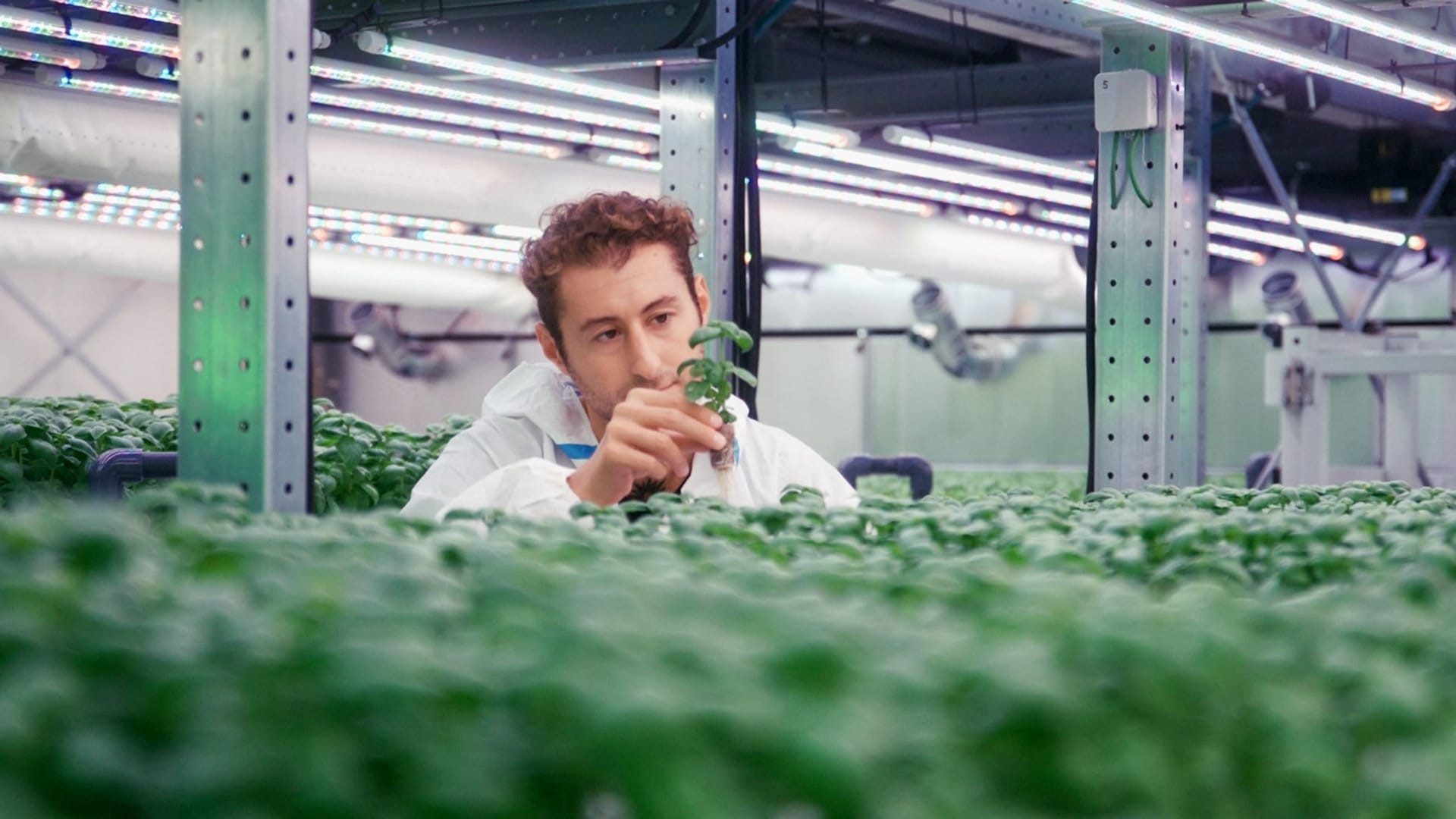 Do we need vertical farming? SF1 NZZ Format